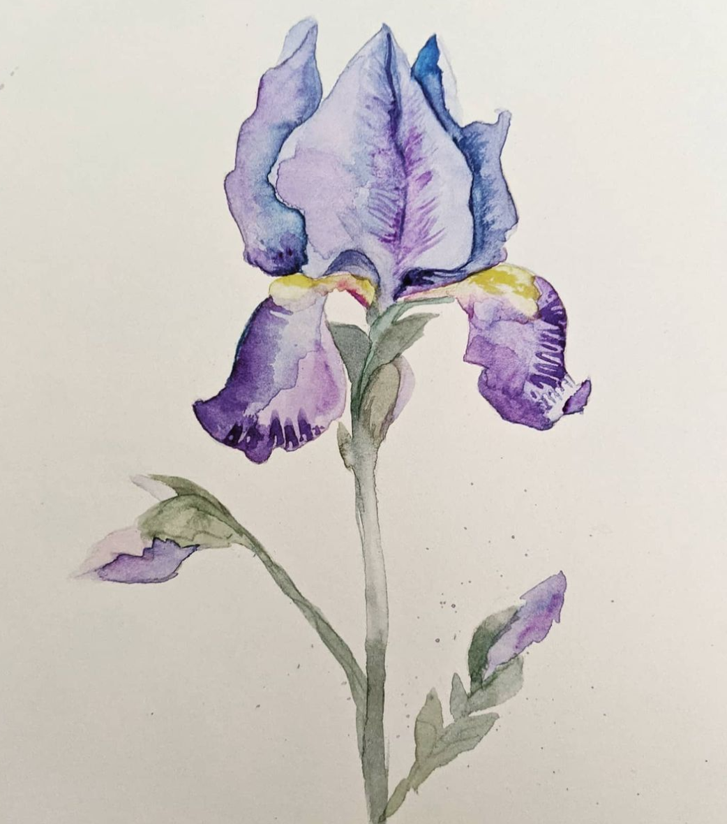 Artwork – Emily Cavanagh